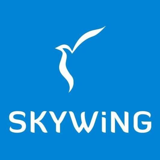 Shop online with SKYWING now! Visit SKYWING on Lazada.