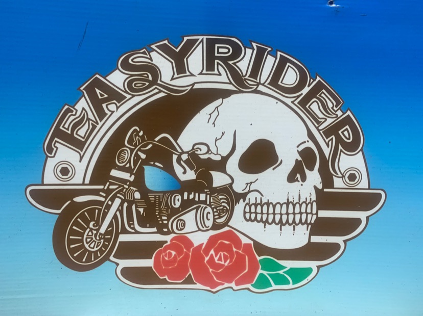 ช้อปออนไลน์ EASYRIDER BELT | Lazada Thailand