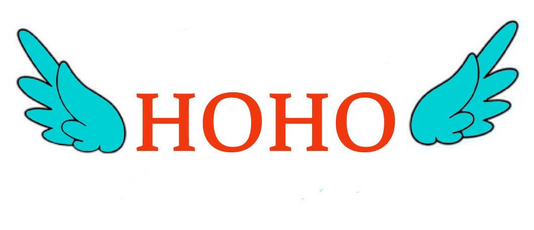 Shop online with HOHO shop now! Visit HOHO shop on Lazada.