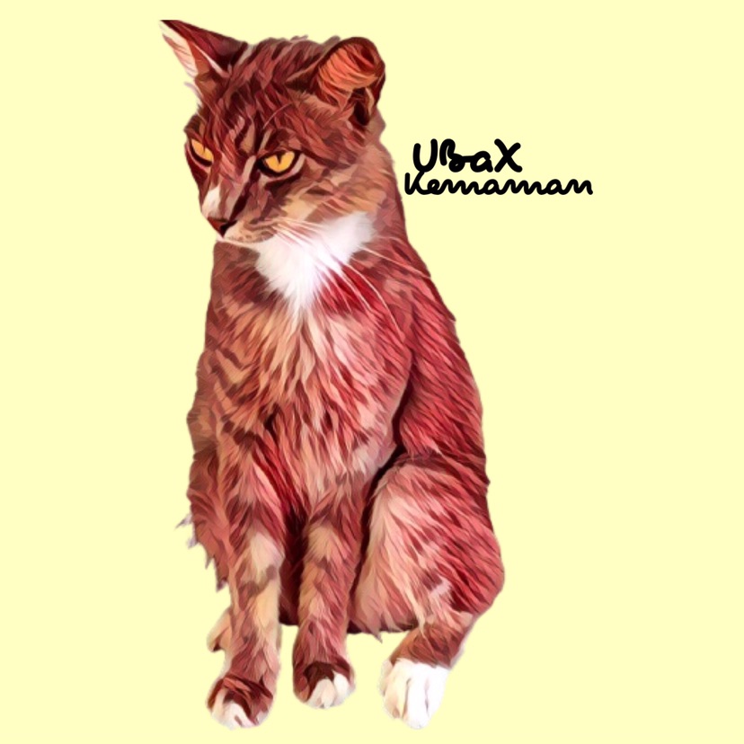 Shop online with UBaX Kemaman now! Visit UBaX Kemaman on Lazada.